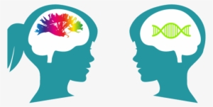 Brain Clipart Cognitive - Cognition - 640x480 PNG Download - PNGkit