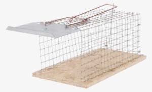 Wire Cage - Mouse Trap - Cage Mouse Trap Png - 600x363 PNG Download ...