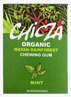 Rainforest Of Americas - Tropical Rainforest Rainforest Logo - 650x194 ...