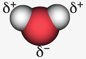 11 3d Water Molecule Showing Delta Charges - Delta Charges Water ...