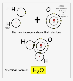 Water Molecule Worksheet - Lewis Structure - 1607x1795 PNG Download ...