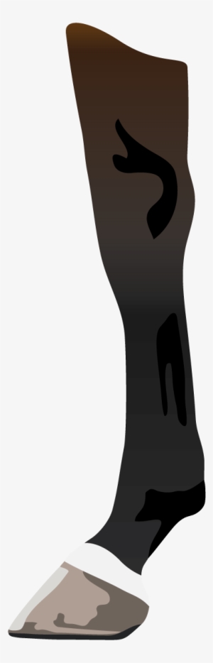 Coronet Marking - Illustration - 1800x1400 PNG Download - PNGkit