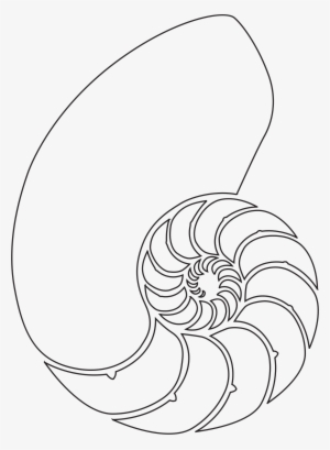 This Free Icons Png Design Of Nautilus Shell - Nautilus Shell Clip Art ...