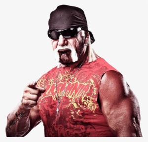 Hulk Hogan Transparent Background - Hulk Hogan Png - 604x1024 PNG ...