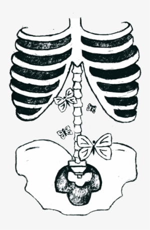 Transparentisthis - Skeleton Tumblr Png - 500x619 PNG Download - PNGkit