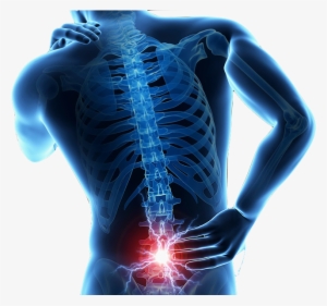 Patriot Back Brace By Corflex - 800x600 PNG Download - PNGkit