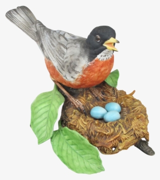 American Robin Clear Background - 876x876 PNG Download - PNGkit