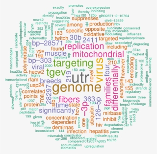 Stem Loop Sequence Ssc Mir - Microrna - 1276x1260 PNG Download - PNGkit