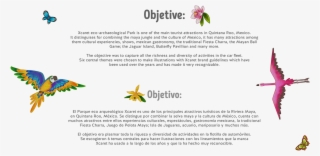 Xcaret Fleet Car - Insect - 1200x647 PNG Download - PNGkit