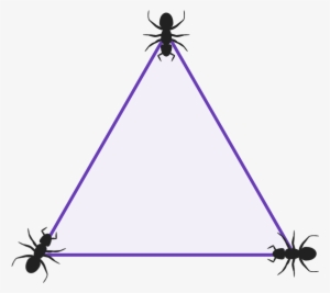 Diagram Of A Triangle With 3 Ants Sat One At Each Vertex - Triangle ...