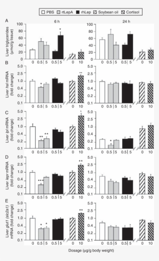 Effect Of Leptin And Cortisol Injection On Tilapia - Triglyceride ...