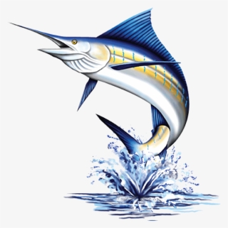 North Seas - Ocean Joyuda - 578x578 PNG Download - PNGkit