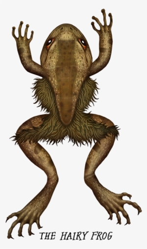 Banner Library Crazy Monster Frogs On Behance Illustration - Goliath ...