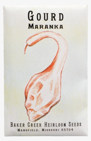 Gourd Seeds - Giant Pacific Octopus - 1200x600 PNG Download - PNGkit