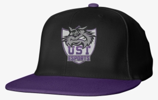 Ust Esports Snapback - Baseball Cap - 1000x1000 PNG Download - PNGkit
