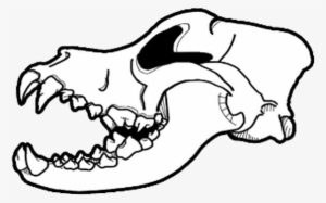 Jugger Logo Skull - Jugger Logo - 608x486 PNG Download - PNGkit