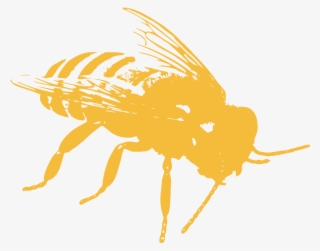 Pollinator Toolbox, Honeybee Icon - Pollinator Symbol - 850x734 PNG ...