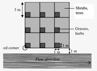 Example Of A Sampling Grid For Censusing Grass And - Tree - 667x488 PNG ...