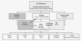 Institutions Invite Aaalaci Representatives To Review - Research ...