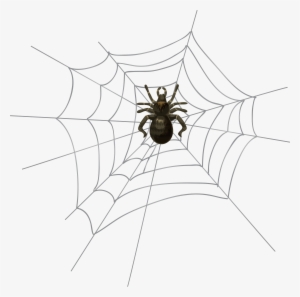Realistic Spider Web PNG, Free HD Realistic Spider Web Transparent ...