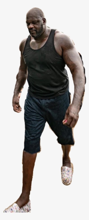 Shaquille O'neal - Line Art - 500x700 PNG Download - PNGkit