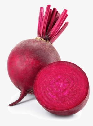 Free Png Beet Png Images Transparent - Beet Png - 480x640 PNG Download ...