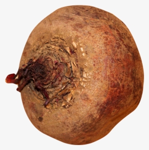 Beatroot Png Image - Beatroot Png - 1038x1032 PNG Download - PNGkit