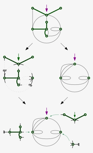 We Analyze The Phase Transition At U=0 In Terms Of - Circle - 2841x4698 ...