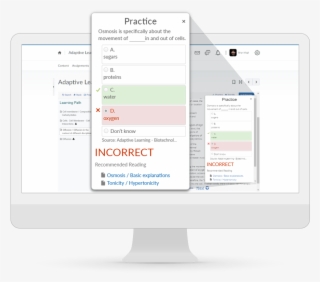 Personalized Learning Paths - Education - 940x780 PNG Download - PNGkit