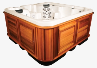 Cub Angle - Arctic Cub - 1800x1283 PNG Download - PNGkit