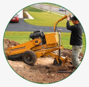 Tree Pruning Tool Stump Grinding Debris Cleanup - Tree Stump - 473x465 ...