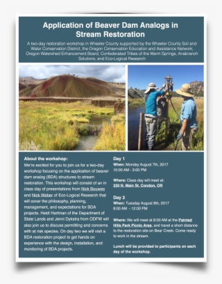 Beaver Dam Analog Workshop - Brochure - 982x1300 PNG Download - PNGkit