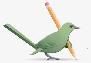 Mockingbird PNG, Free HD Mockingbird Transparent Image - PNGkit