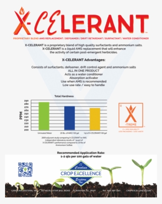 Xcelerant-813x1024 - Flyer - 813x1024 PNG Download - PNGkit