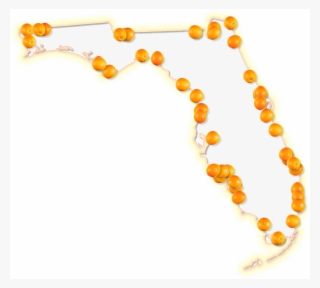 Png Florida Banner Transparent Stock - 768x692 PNG Download - PNGkit