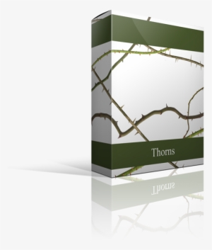 Thorn Overlays 21 Png Thorn Overlays - Lampshade - 672x800 PNG Download ...