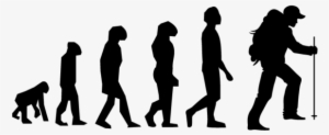 We Spent Millions Of Years Moving Away From Walking - Evolution Of Man ...