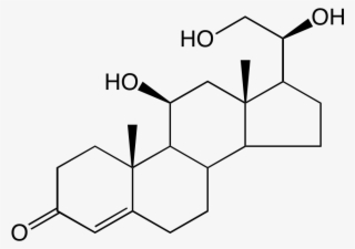 Testosterone Tattoo - 883x629 PNG Download - PNGkit