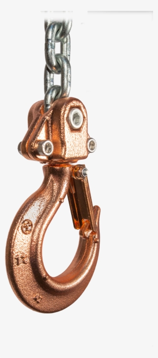 Durham Lifting Spark Resistant Ez Check 3 Point Hook - Locket ...