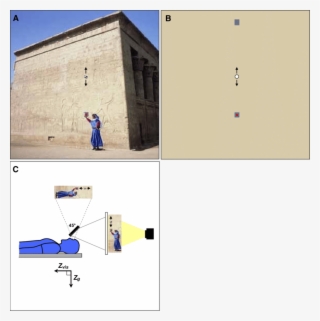 Schematic Representation Of Visual Stimuli - Facade - 850x853 PNG ...