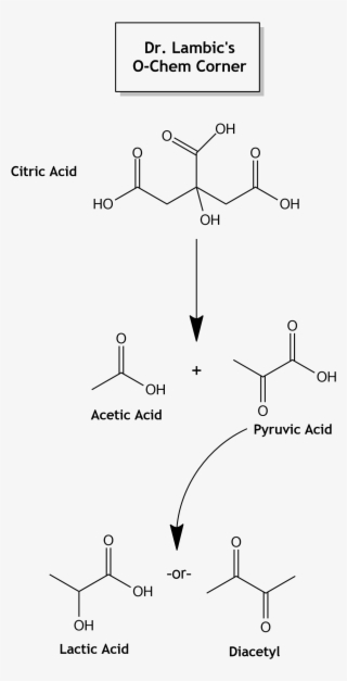 Malolactic Fermentation - Diagram - 1214x2364 PNG Download - PNGkit
