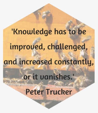 Knowledge Franchising Mystery Shopping Customer Service - Toko Progo ...