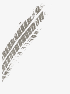 Tire Rack Logo - Tire Rack Logo Vector - 1024x212 PNG Download - PNGkit