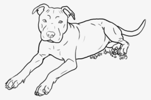 Image Free Stock Pit Bull Clip Art Dog Breed Line - Pitbull Drawing ...