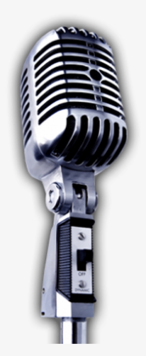Mic Png Transparent Image - Mic Png - 500x1010 PNG Download - PNGkit