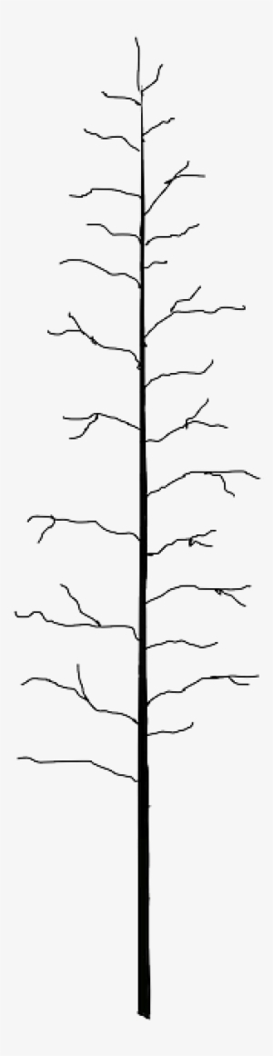 Fir Tree - Minecraft Tree Png - 403x793 PNG Download - PNGkit