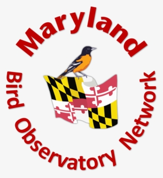 Mbon Logoa - Maryland State Flag - 724x795 PNG Download - PNGkit