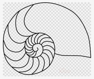 Nautilus Shell Clip Art Clipart Nautilidae Chambered - Nautilus Shell ...