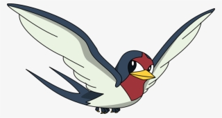 Taillow Png - 800x429 PNG Download - PNGkit