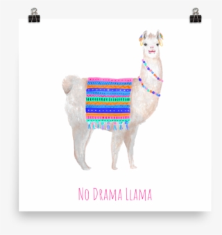 No Drama Llama Poster - Llama - 1000x1000 PNG Download - PNGkit